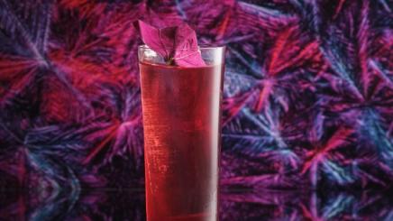 The List & Award Winners | Top 50 Cocktail Bars